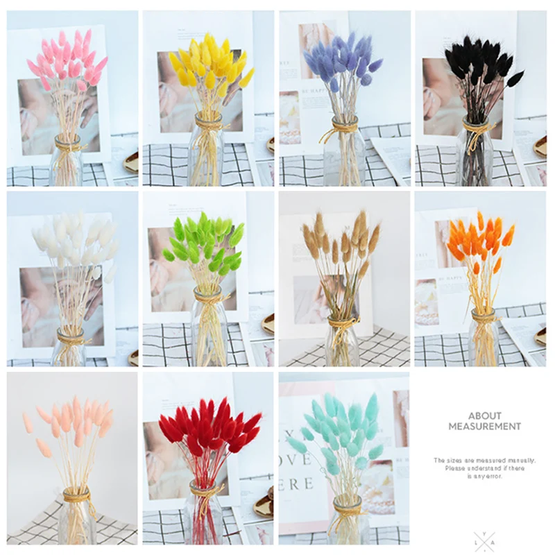 20Pcs-Rabbit-Tail-Grass-Natural-Dried-Flowers-For-Home-Decoration ...