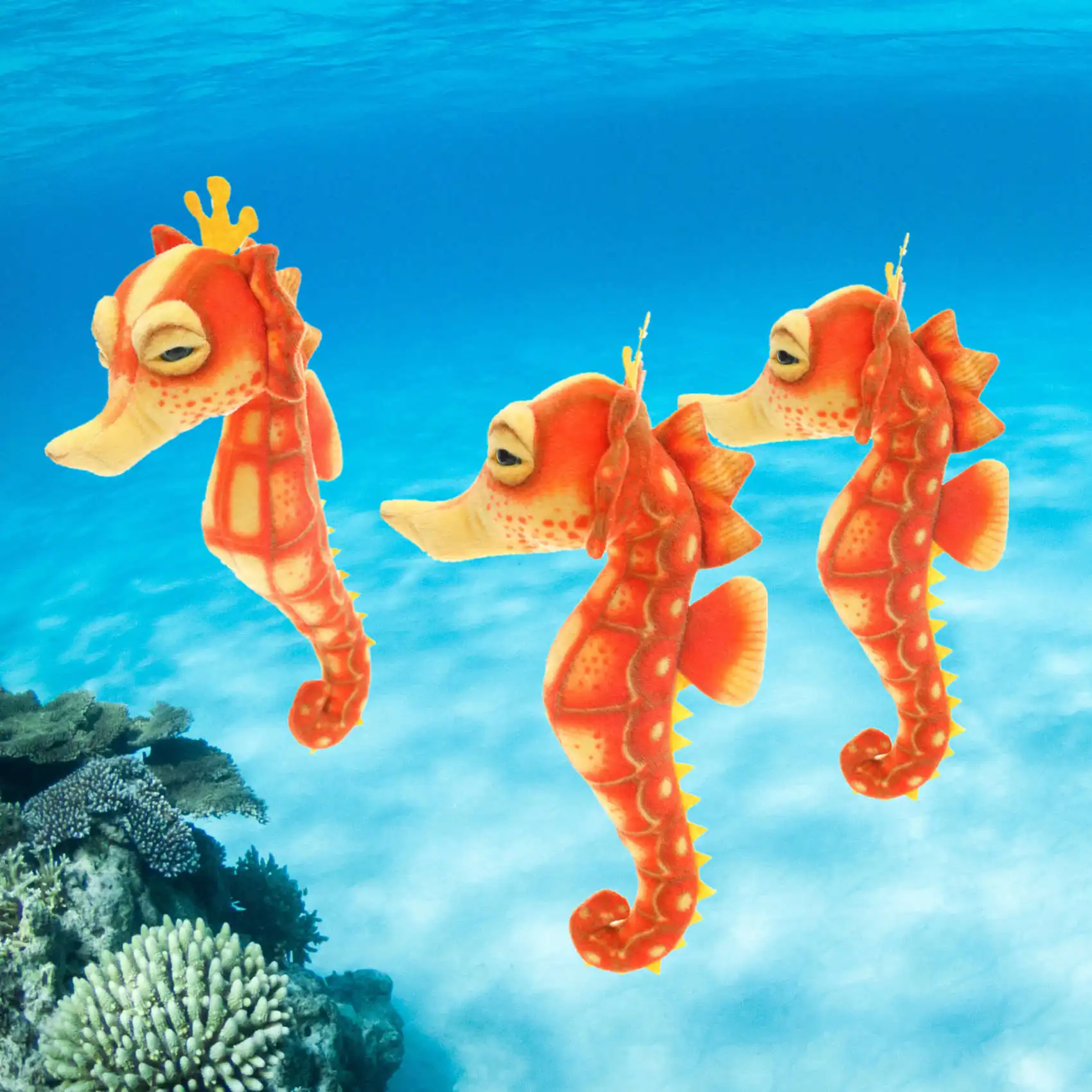 Finding Nemo Seahorse