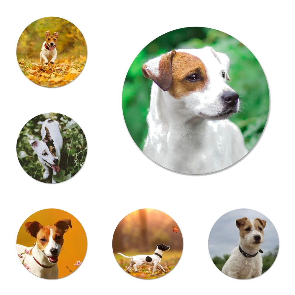 Are Dogs Allowed At Jack Russell Brewery