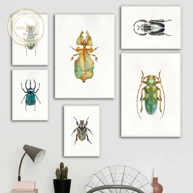 Insect Art Minimalist