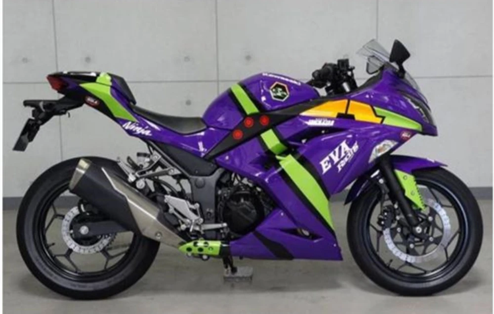 Kawasaki Ninja 300 Purple