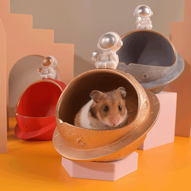 Cute Hamster Astronauts