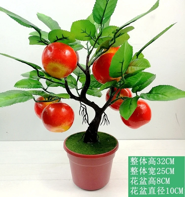 Indoor Apple Tree