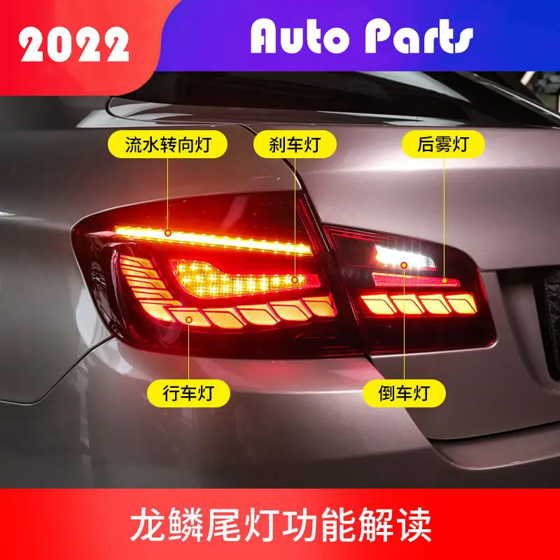 Beast2022-Suit-for-Bmw-Ludawei-Dragon-Scale-525-530f18-5-series-Rear ...