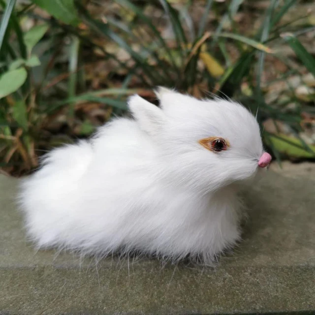 White Baby Bunny Fluffy
