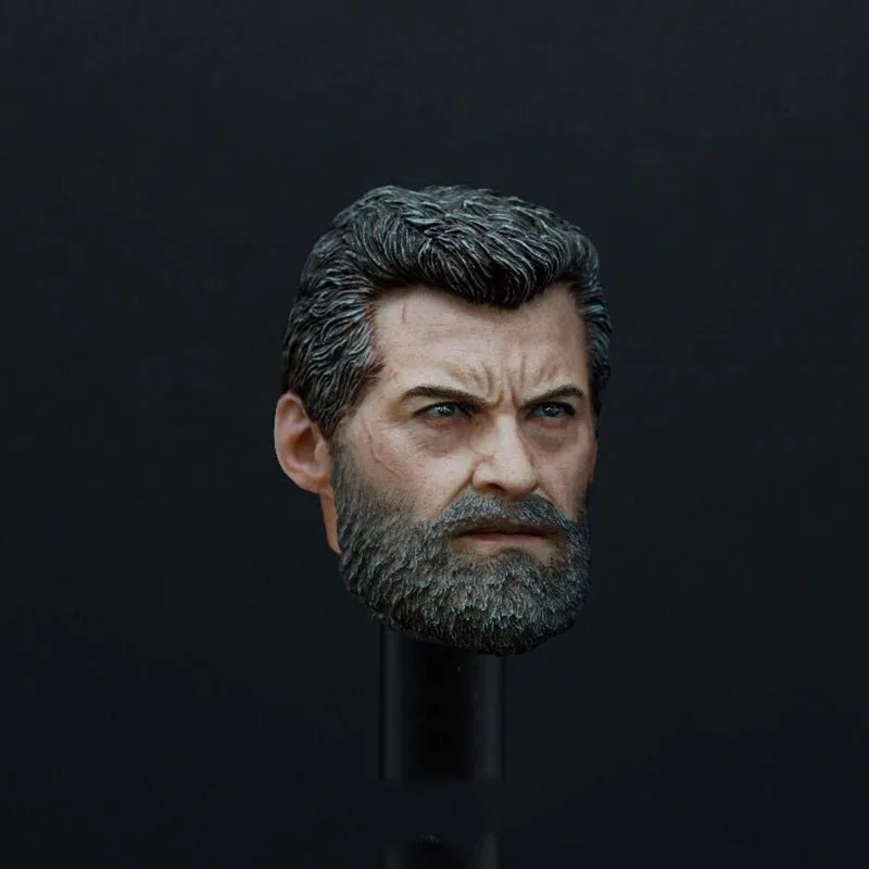 1-6-Old-Logan-Hugh-Jackman-Head-Sculpt-PVC-Male-Soldier-Beard-Head ...