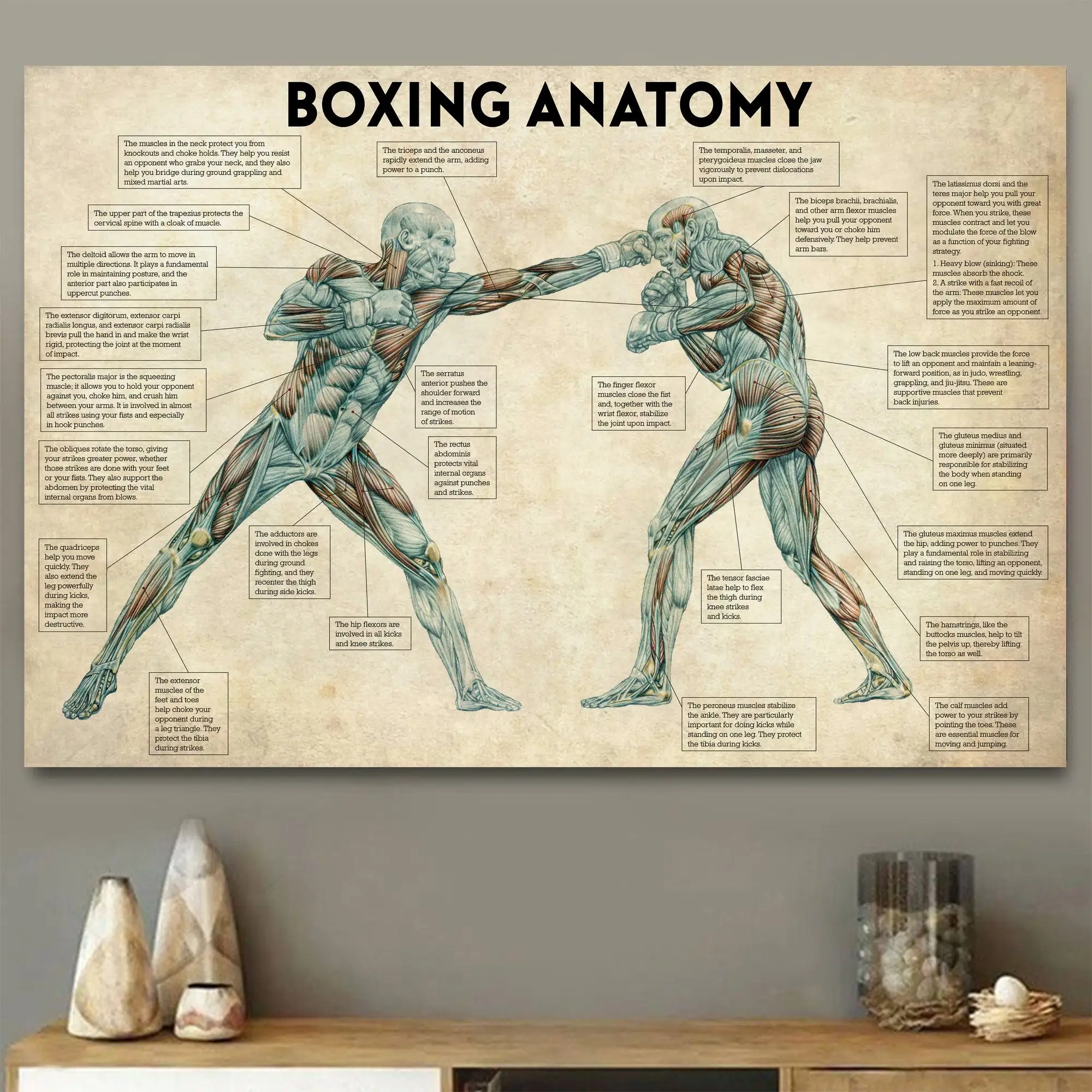 Vintage Boxing Art