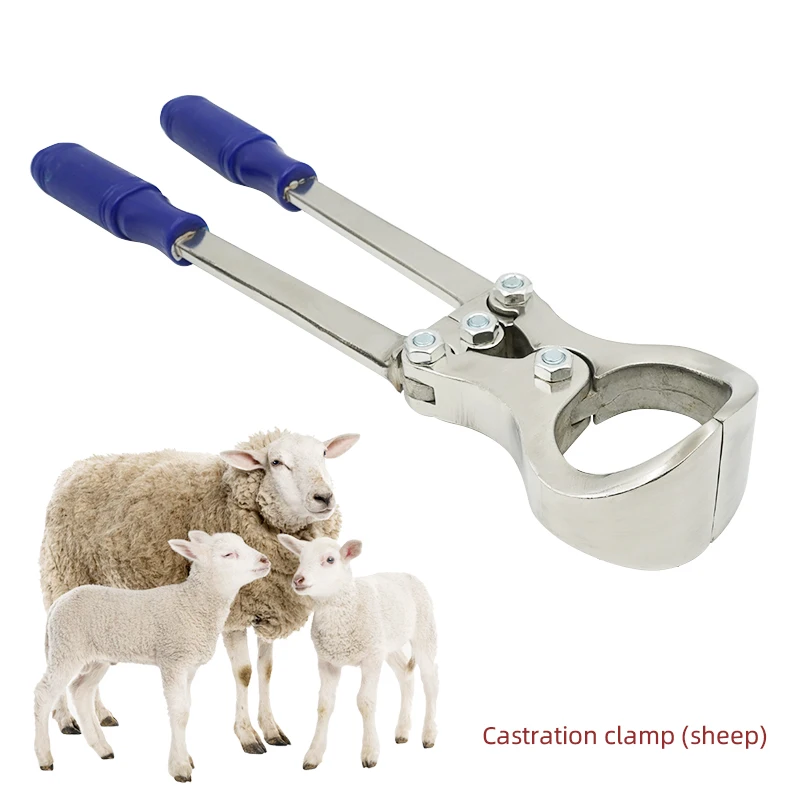 Castration Animals | Veterinary Pig Castrator | Equipment Sheep Farm ...