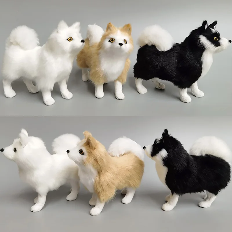 Samoyed Mixed With Poodle