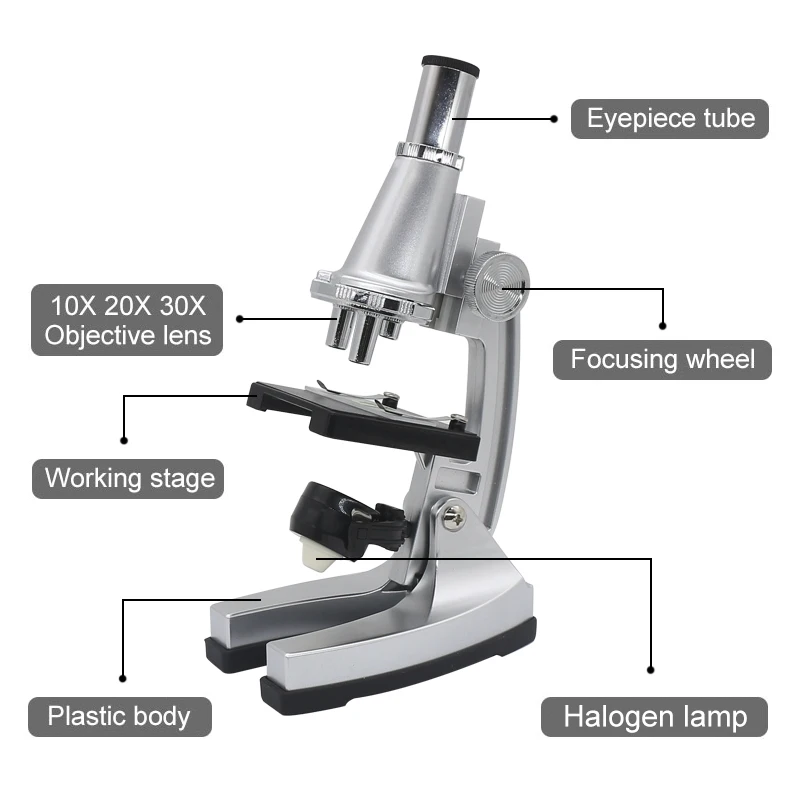 Microscope Diagram For Kids