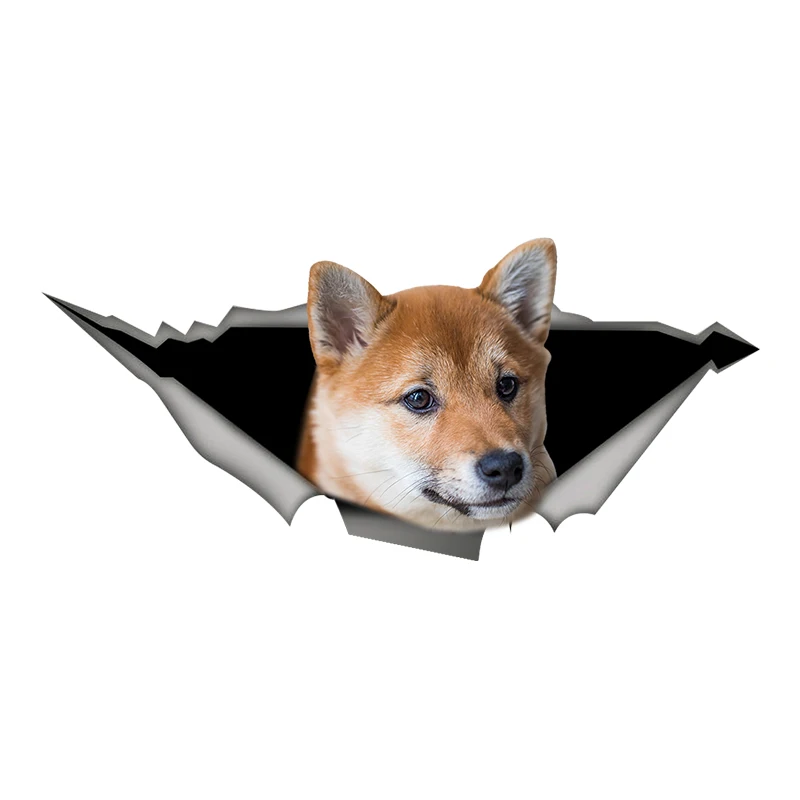 S50624-Shiba-Inu-Dog-Car-Sticker-Personality-Vinyl-Decal-Waterproof-Car ...