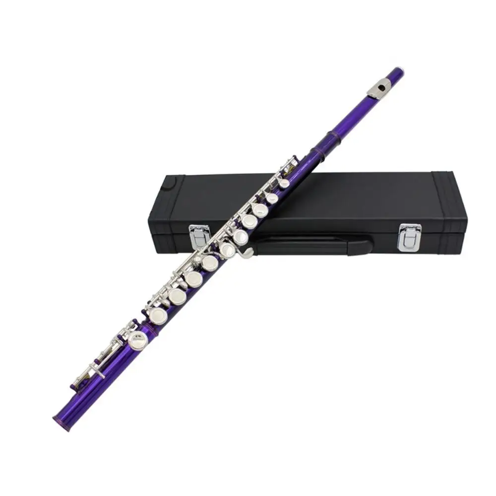 Western Concert Flute Cupronickel Plated Silver 16 Holes C Key Woodwind ...