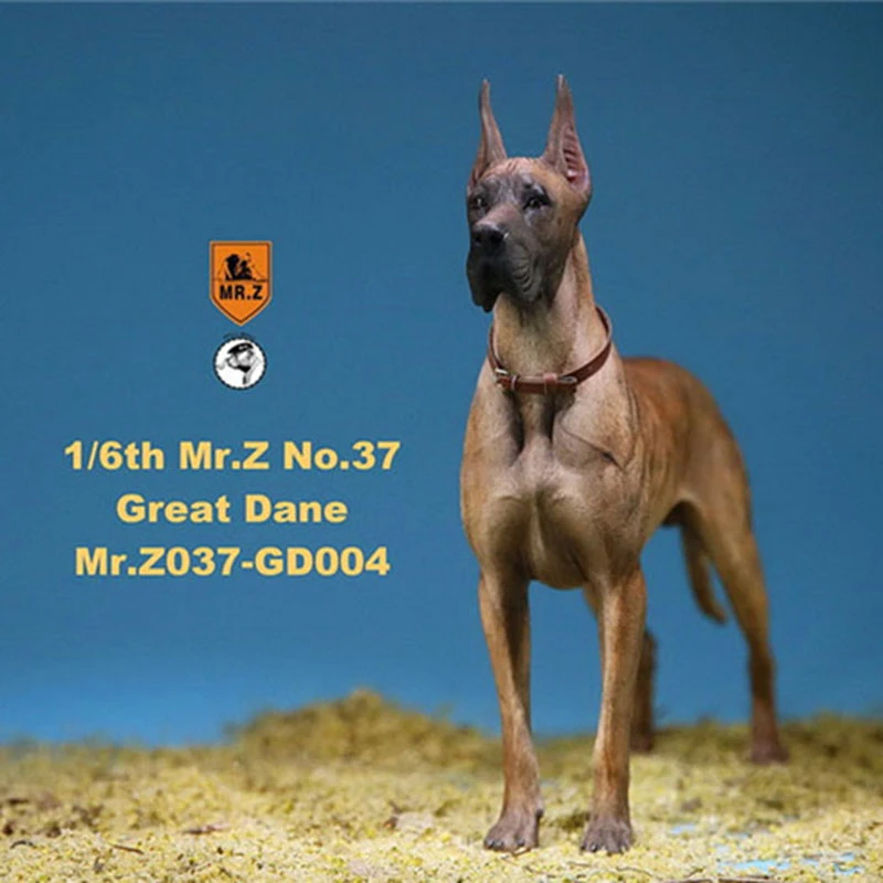 Is There A Miniature Great Dane