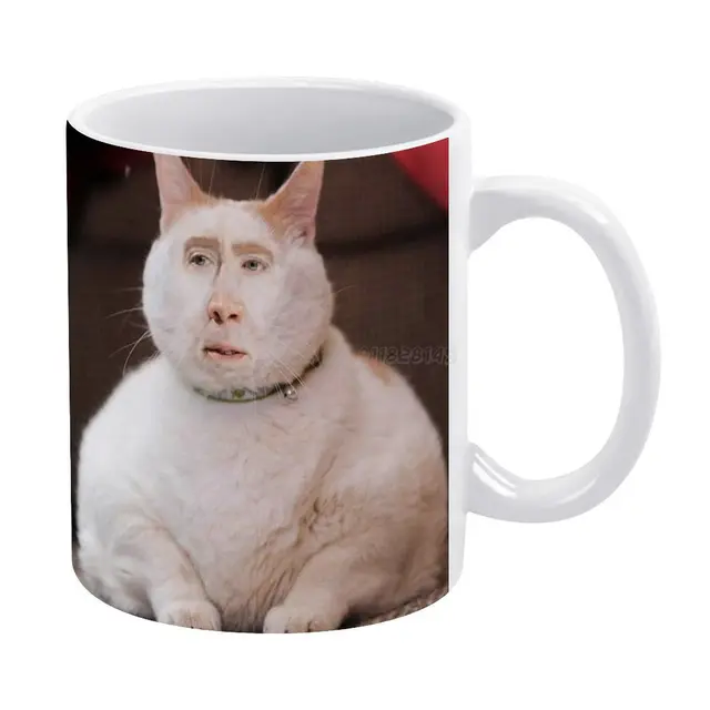 Nicolas Cage Cat Wallpaper