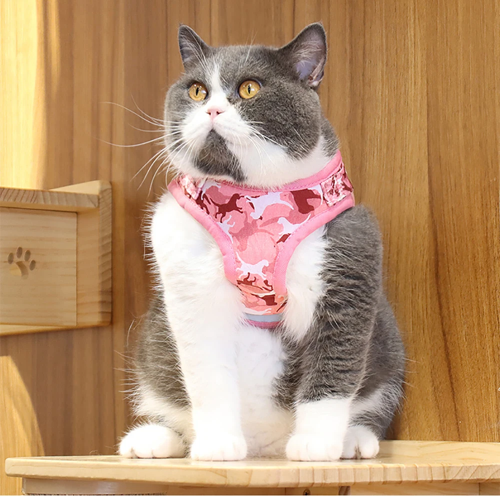 Collier,Harnais réglable pour chien et chat, gilet avec laisse en plomb ...