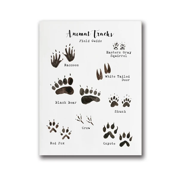 Printable Squirrel Track