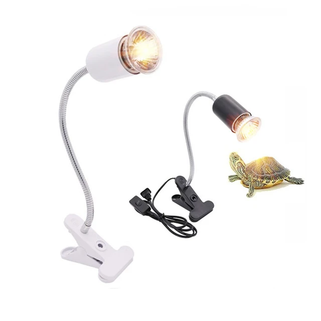 Snake Tank Lights