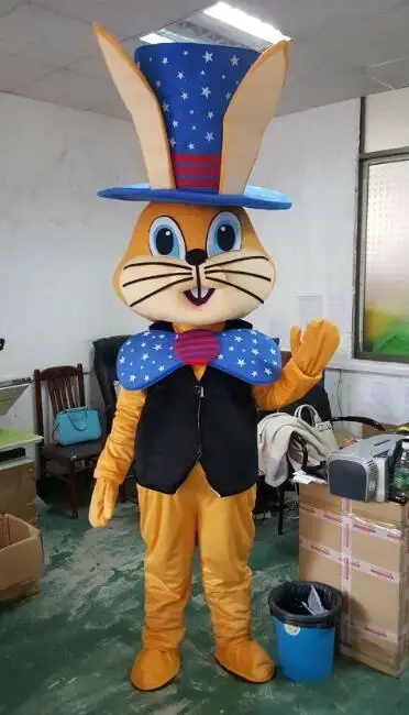G-rg-kurallar-tav-an-maskot-kost-m-Bunny-maskot-karikat-r-s-sl-elbise ...