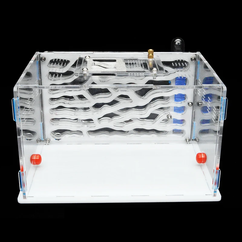 DIY Acrylic Ant Farm Ants House with Feeding Area Ant Nest Insect 3 ...