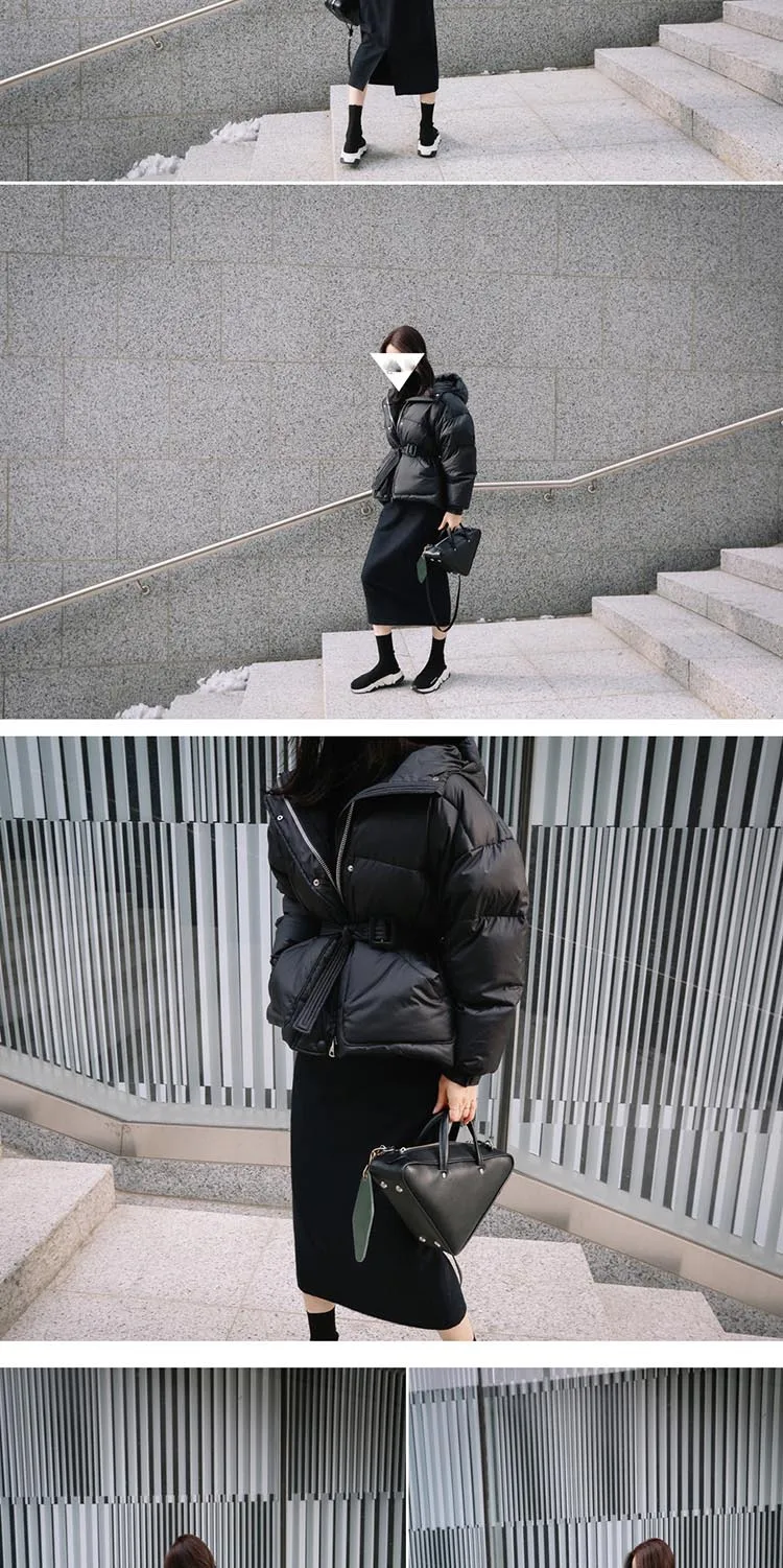 Winter New Style South Korea INS WOMEN'S Dress down Feather Coat Korean ...