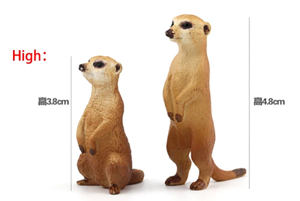 Original-Japan-Rement-lion-african-Animal-king-Mongoose-Couple-meerkat ...