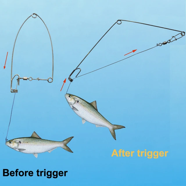Fishing Hook With Fish