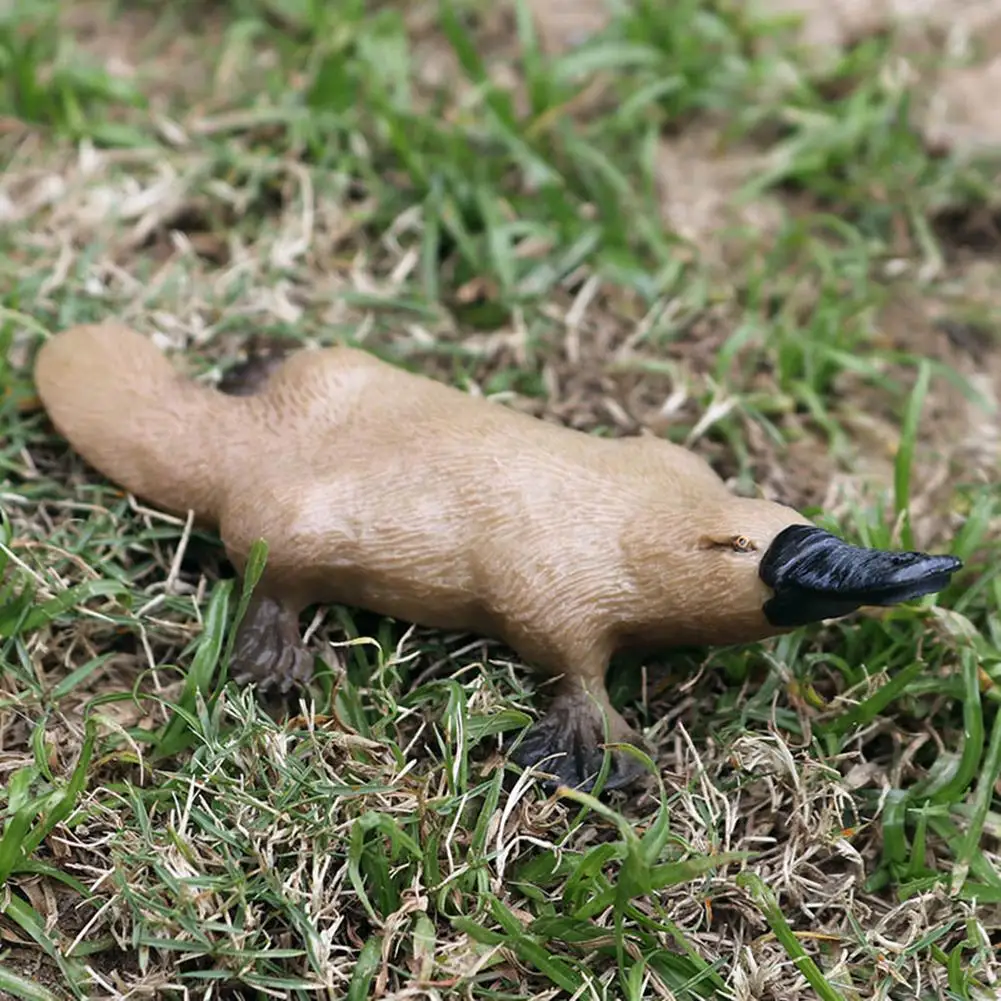Realistic Platypus Animal Figurine Sculpture Model Desktop Decor Kids ...