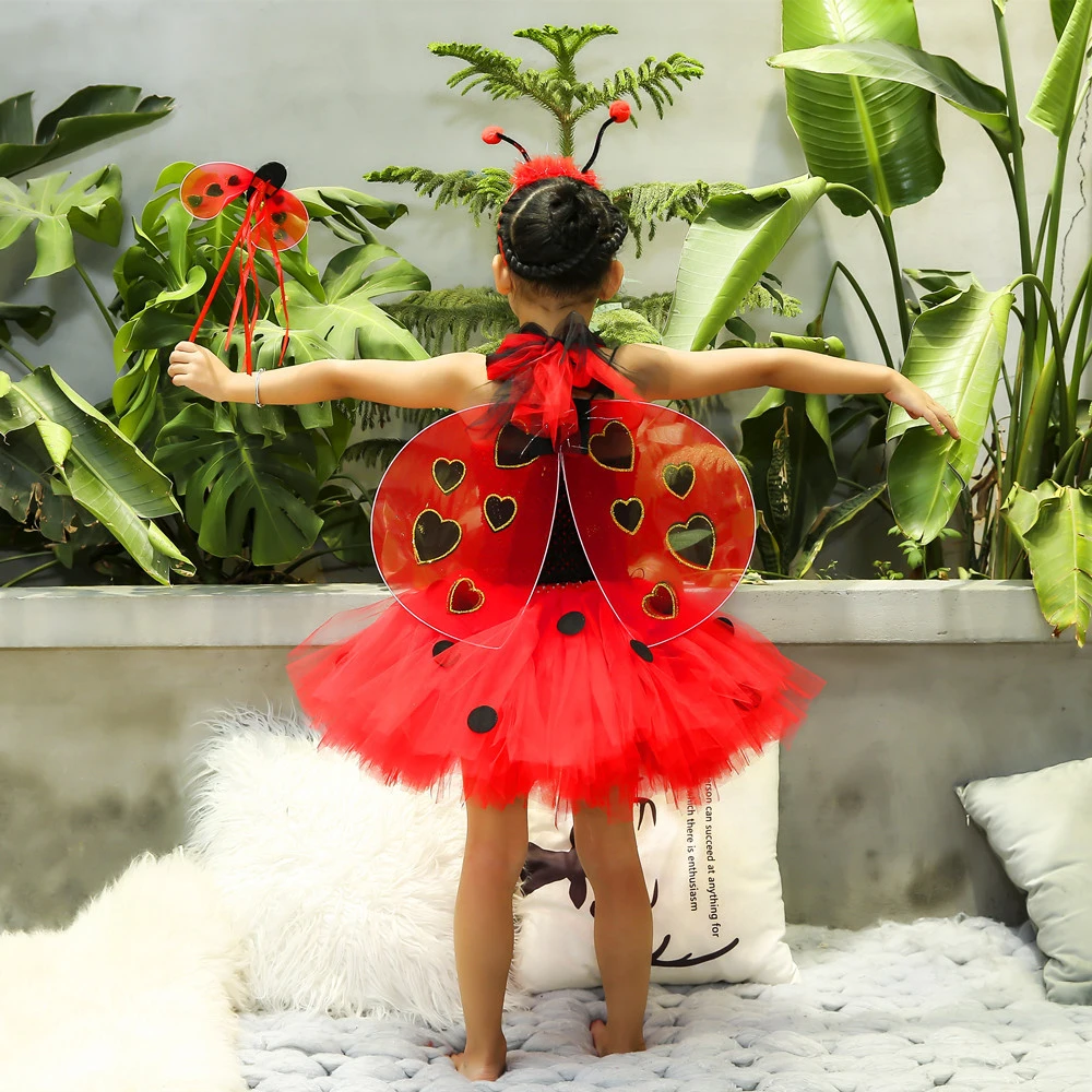 Homemade Ladybug Tutu Costume