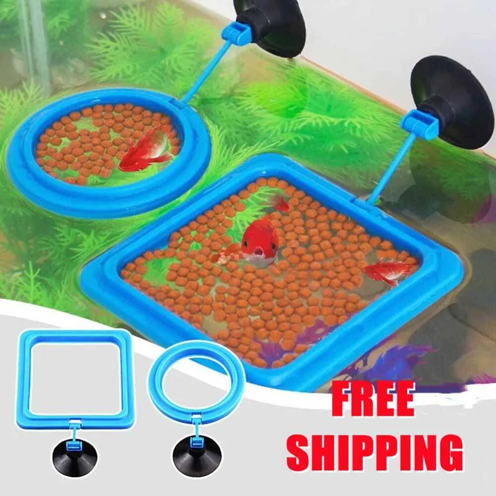 Portable-Aquarium-Fish-Feeding-Station-C-rculo-quadrado-flutuante-com ...