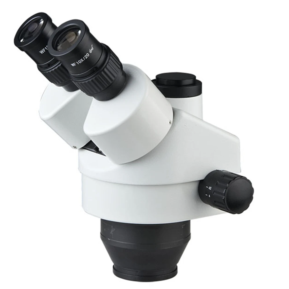 Tubo Del Cuerpo Ocular Del Microscopio Del Compuesto De BoliOptics ...