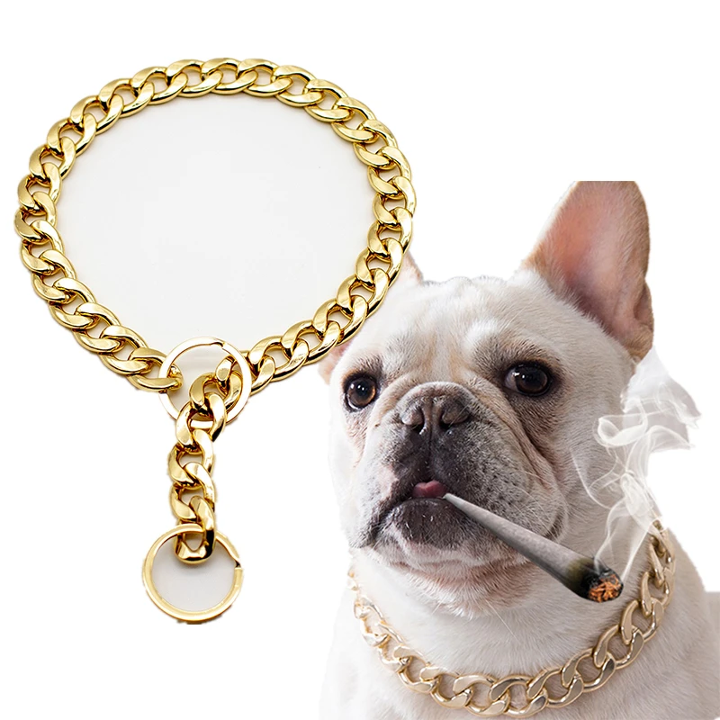 What Are The Best Leashes For Bully Kutta Puppies