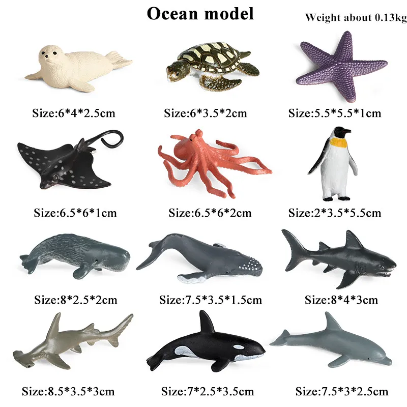 Sea Life Animals List