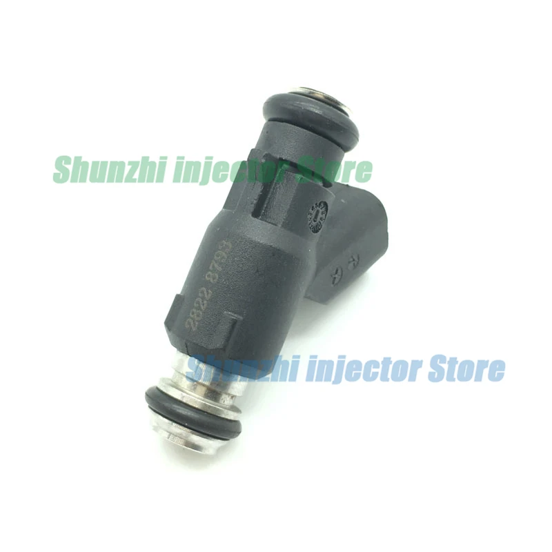 Fuel Injector Nozzle For Oem 28228793 2822 8793 - Fuel Injector ...