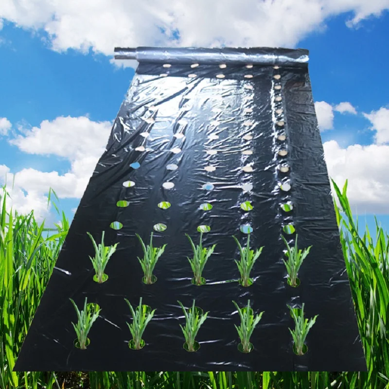 0.02mm 5holes Black Film Hi-quality Vegetable Garden Plants Grow Films ...