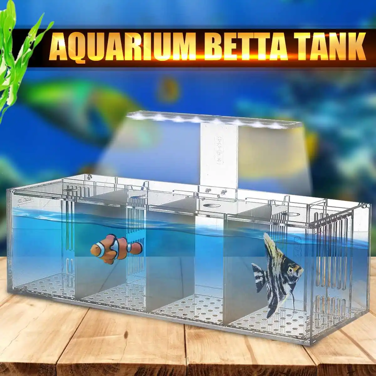 Awesome Betta Fish Tanks