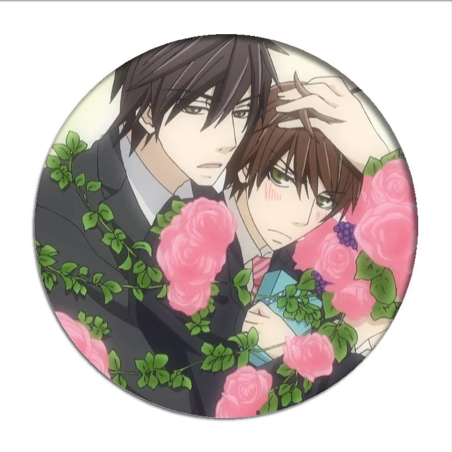 Sekai Ichi Hatsukoi Takano And Ritsu Cosplay