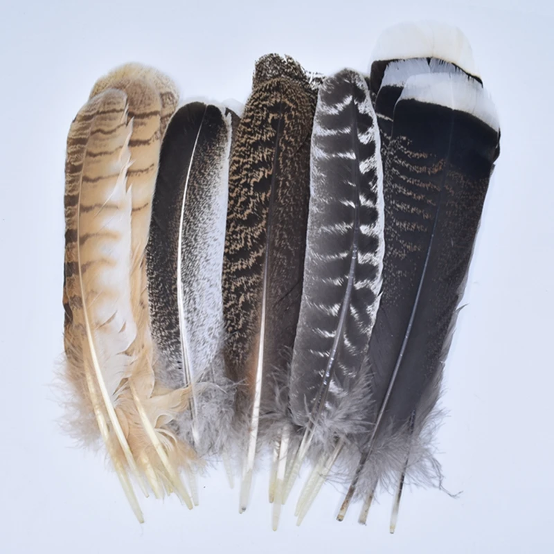 10Pcs-Lot-Real-Natural-Eagle-Feathers-for-Decoration-Turkey-Pheasant ...