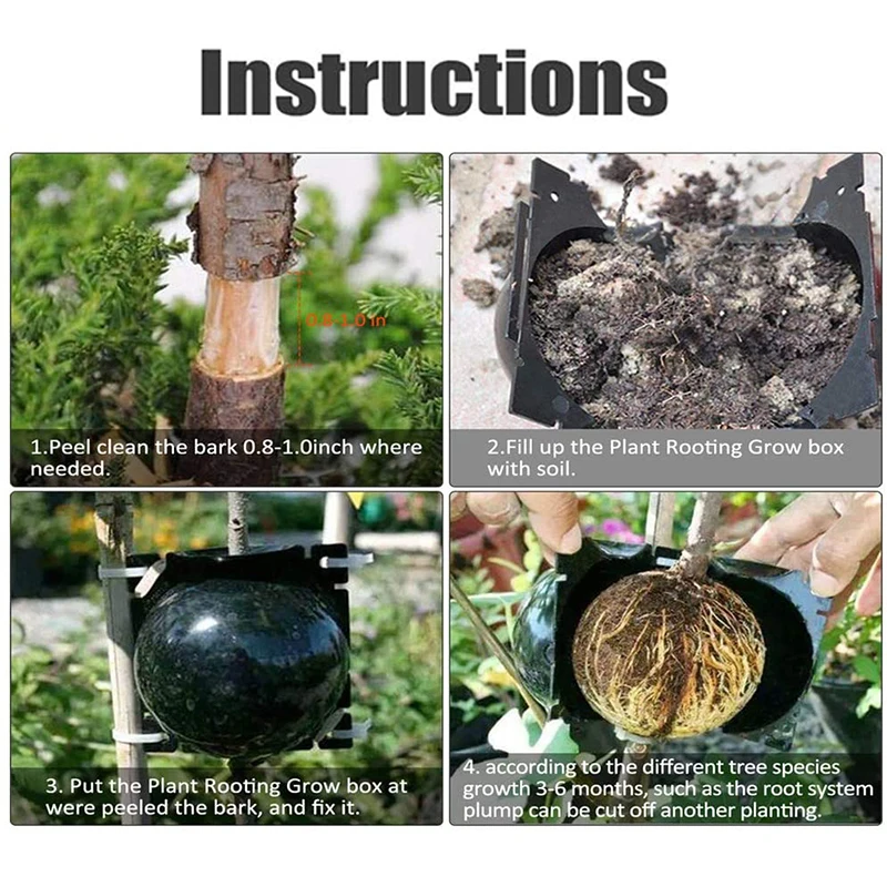 Jardiniere - bac a fleur,L'enracinement des Plantes Propagation Boule ...