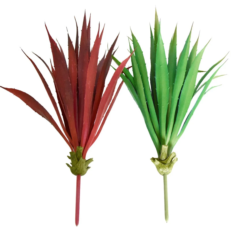Sisal Like Plants Red Foliage