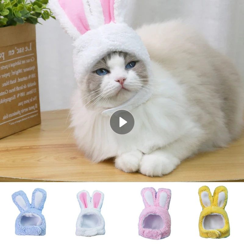 Cute-Cat-Headgear-Bunny-Drag-Hat-Cat-Dog-Headwear-Costume-Performance ...