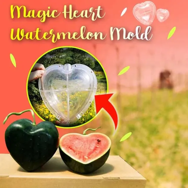 Heart Watermelon Container Little Sweet Heart Watermelon | PNS EShop