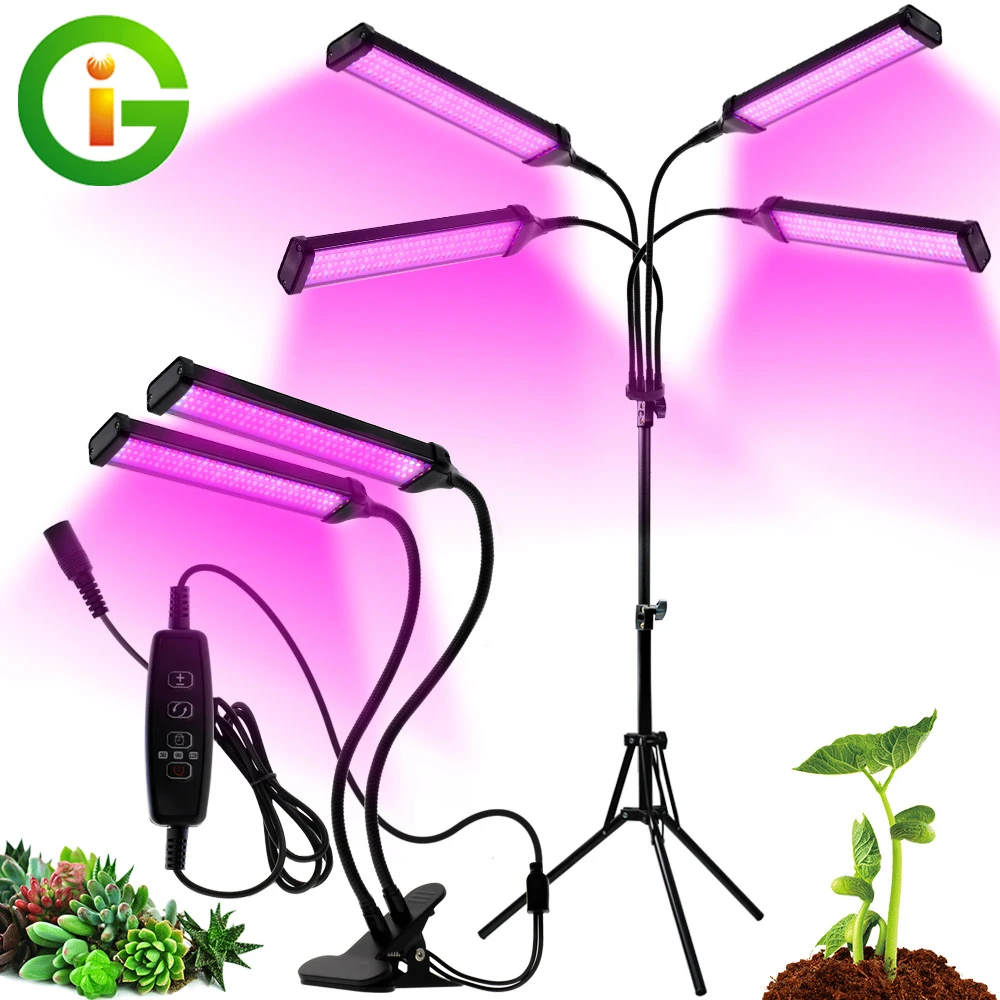 40w 60w 80w Led Grow Light Full Spectrum Usb Phyto Lamp With 3 Modes ...