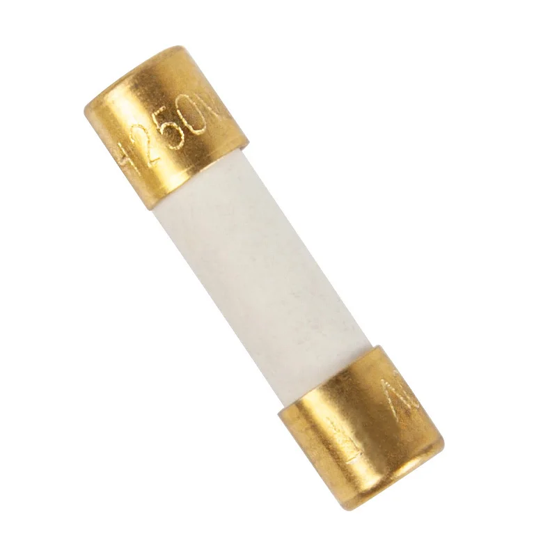 Hifi Fever Silver Alloy Fuse 5X20 Gold-plated CapOriginal imported ...
