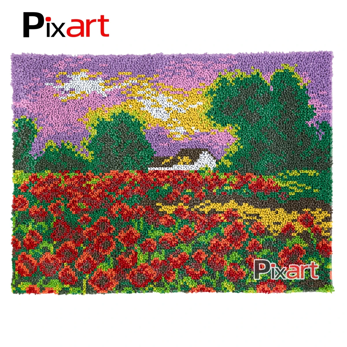 Latch-Hook-Rug-Poppy-Field-Crocheting-Wall-Tapestry-Kits-DIY-Carpet-Rug ...