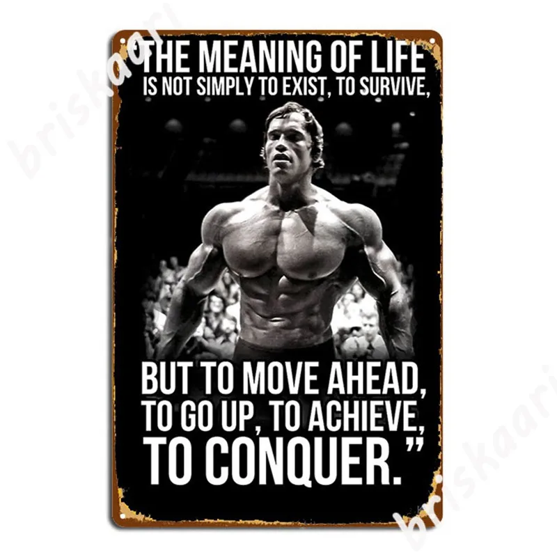 Arnold Schwarzenegger Conquer Quote