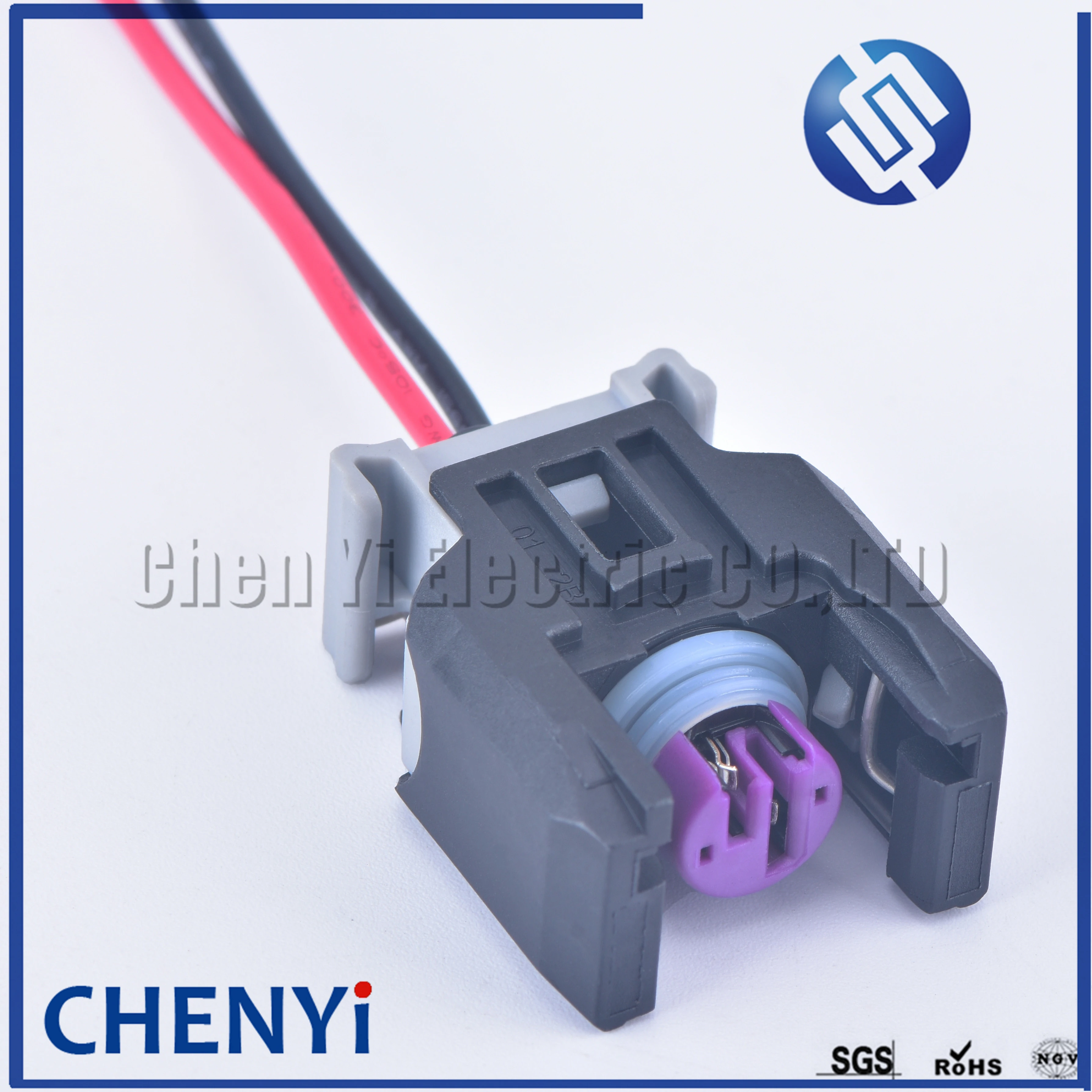 2pin Sealed Delphi Efi Diesel Common Rail Engine H5h6 Injector Nozzle ...