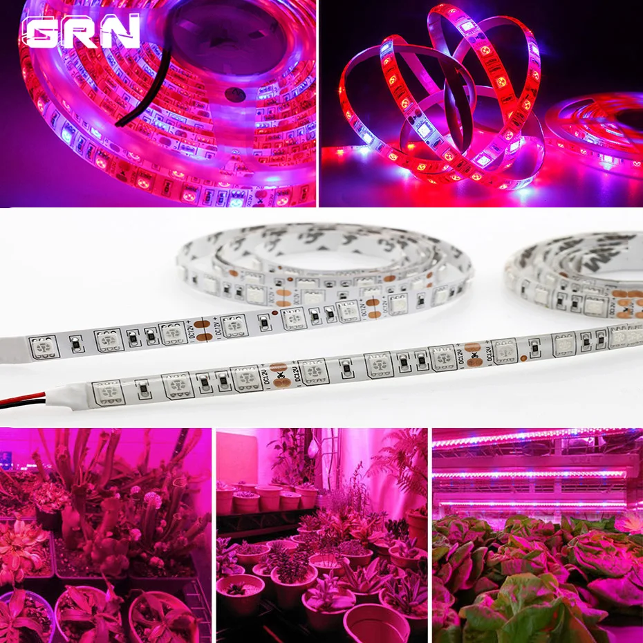 1/2/3/4/5 미터 LED 식물 성장 라이트 스트립 60Leds/M 12V SMD5050 레드/블루 라이트 실내 전체 스펙트럼 성장 램프 꽃|그로잉 램프 ...