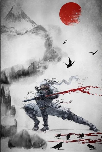 Ninja Vs Samurai Art