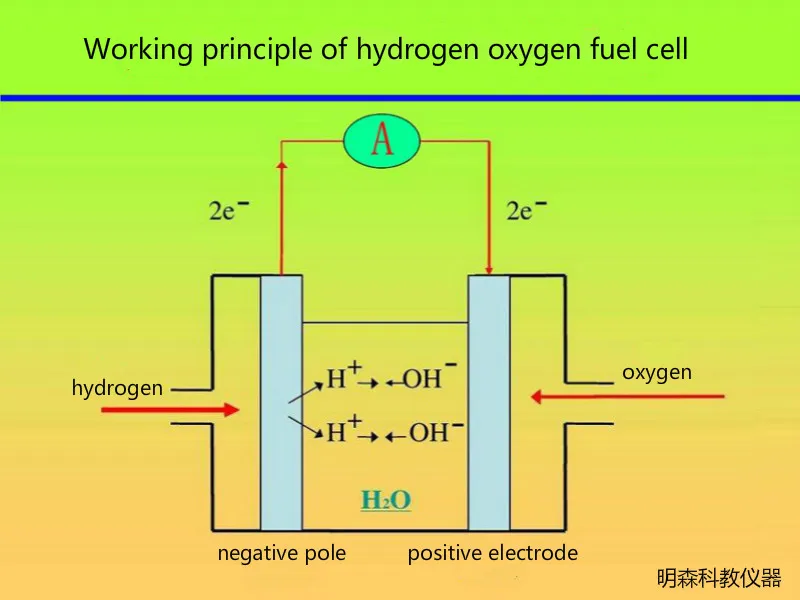 Hydrogen Oxygen Fuel Cell Diagram