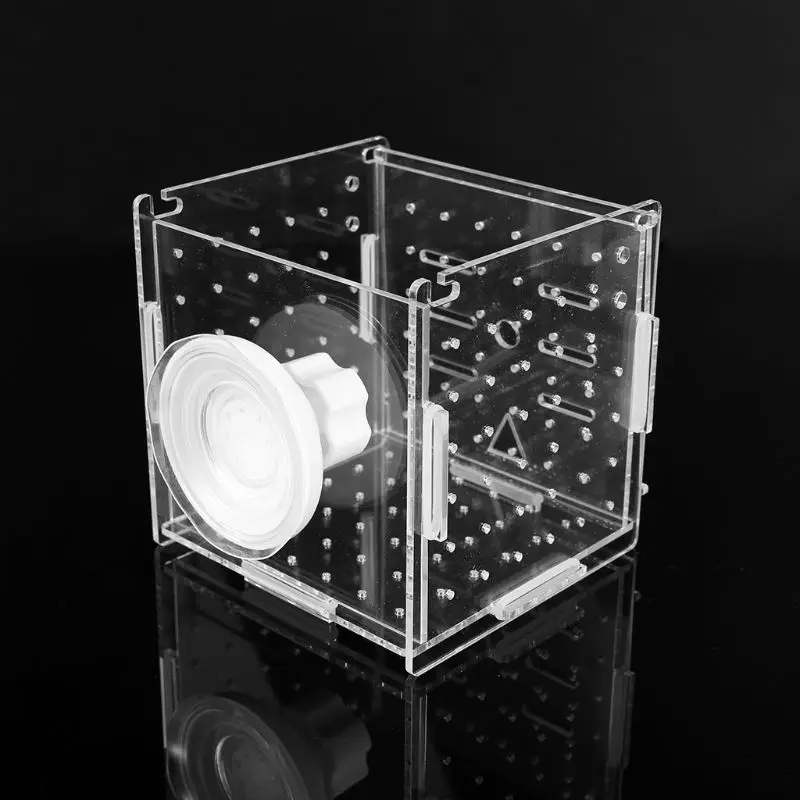 Aquarium Fish Breeding Isolation Box for Baby Fish Hatchery Incubator ...